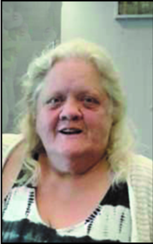 Susan E. Shafer | News, Sports, Jobs - Post Journal
